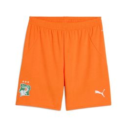 Puma Workout Pants male Orange size XXXL