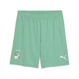 Puma Workout Pants male Green size XXXL