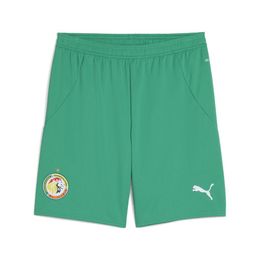 Puma Workout Pants 'Senegal 2025' male Green size XXXL