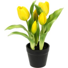 Kunstblume I.GE.A. "Tulpen", gelb, B:20cm H:22cm L:20cm, Polyester, Kunstpflanzen, Im Topf Real-Touch Bl&uuml;ten Tulpe Tulpenstrau&szlig; Latex Kunsttulpe