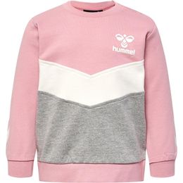 Hummel Sweatshirt 'Skye' Jungen Gr&ouml;&szlig;e 62 grau / pink / wei&szlig;