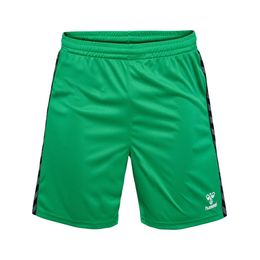 Hummel Sportshorts 'Authentic' Herren Gr&ouml;&szlig;e XXL dunkelgrau / grasgr&uuml;n / schwarz / wei&szlig;