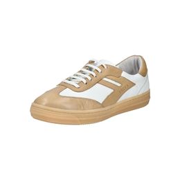 Andrea Conti Sneaker Damen Gr&ouml;&szlig;e 38 beige / wei&szlig;