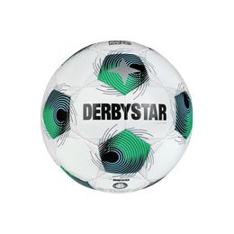 Derbystar Ball male White size 5