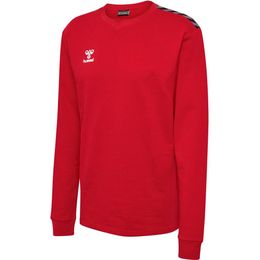 Hummel Athletic Sweatshirt 'Authentic' male Red size XS