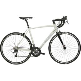 Rennrad KROSS "Vento 2.0" Gr. 53, grau (grau, schwarz), Fahrr&auml;der, Damen, 53cm, 28 Zoll (71,12cm) hinten: 28 Zoll (71,12cm)