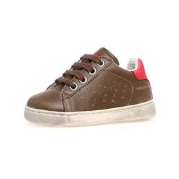Naturino Leder-Sneakers "Hasselt" in Braun - 47% | Gr&ouml;&szlig;e 25 | Kindersneakers
