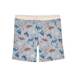 Playshoes Badeshorts "Dino" in Grau/ Bunt - 64% | Gr&ouml;&szlig;e 74/80 | Baby-bademode