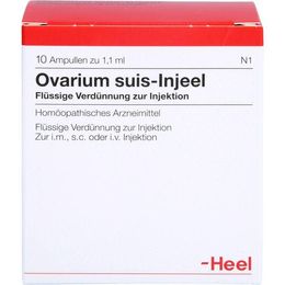 Heel Ovarium Suis Injeel Ampullen 10 St
