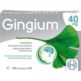 HEXAL&reg; Gingium 40 mg Filmtabletten 120 St