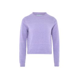 Poomi Sweater 'Poomi' female Purple size XL/XXL