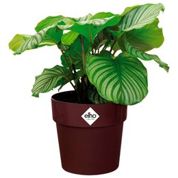 Elho Blumentopf Maulbeere 30x27cm 13,3L