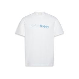Calvin Klein T-Shirt Herren Gr&ouml;&szlig;e XL taubenblau / wei&szlig; / offwhite