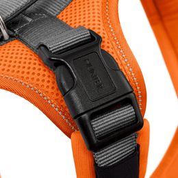 Hunter Geschirr Maldon Up orange/grau / XS-S