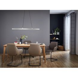 Sch&ouml;ner Wohnen Kollektion SCH&Ouml;NER WOHNEN-Kollektion Stripe Pendelleuchte LED Aluminium, 1-flammig