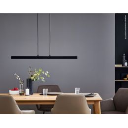 Sch&ouml;ner Wohnen Kollektion SCH&Ouml;NER WOHNEN-Kollektion STRIPE Pendelleuchte LED Schwarz, 1-flammig