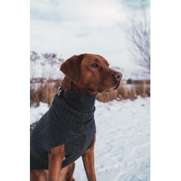 Hunter GENF & ARVIKA Hundepullover & Halsband | anthrazit & schwarz 30 / 40
