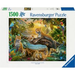 Puzzle Ravensburger "Leopardenfamilie im Dschungel", bunt, Puzzles, KinderB:80cm H:60cm, Pappe, Made in Germany, B:80cm H:60cm