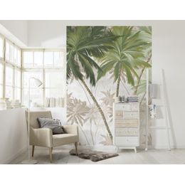 Fototapete Komar "Vlies Fototapete - Palmera - Gr&ouml;&szlig;e 200 x 280 cm", gr&uuml;n,beige, B:2m H:280m, Vlies, Tapeten