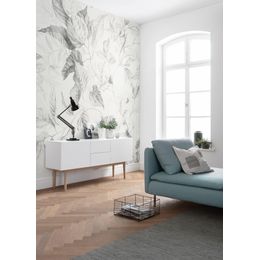 Fototapete Komar "Vlies Fototapete - Jeu de Feuilles - Gr&ouml;&szlig;e 200 x 250 cm", grau, B:2m H:250m, Vlies, Tapeten