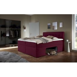 Boxbett Home Affaire "Carolin", rot (bordeaux meliert), B:182cm L:210cm, Komplettbetten, mit Nische inkl. gepolsterter Unterlage f&uuml;r Haustiere, Topseller