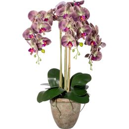 Kunstorchidee Creativ green "Orchidee Phalaenopsis", bunt (gr&uuml;nlila), H:75cm, Kunstpflanzen, mit traumhaft sch&ouml;nen Bl&uuml;ten