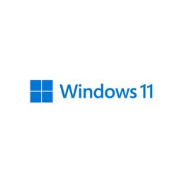 Microsoft Betriebssystem "Windows 11 Pro", transparent (ohne farbbezeichnung), Software