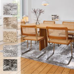 Hochflor-Teppich Astra "Paulie 251", silberfarben, B:160cm H:25mm L:230cm, Obermaterial: 100% Polypropylen, Teppiche, Langflor, Shaggy, Wohnzimmer, Schlafzimmer