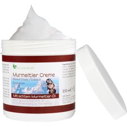Damen Murmeltiercreme gr&uuml;n, Gr&ouml;&szlig;e Packung (2 St&uuml;ck)