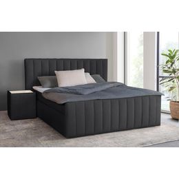 Boxspringbett Home Affaire "Effy inkl. Bettkasten und Topper, erh&auml;ltlich in der Breite 180x200cm", schwarz, B:203cm L:217cm, Holz teilmassiv, Holzwerkstoff, Spanplatte, Komplettbetten, Boxspringbett, wahlweise in H3 oder H4 w&auml;hlbar