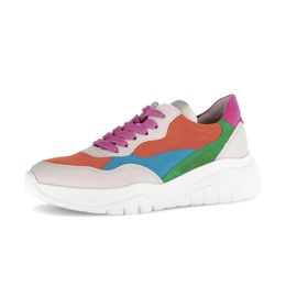 Sneaker Gabor "Sneaker low Glattleder", Damen, Gr. 40,5, multicolour, Schuhe Sneaker