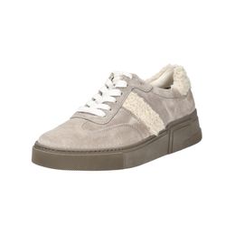 Sneaker Paul Green "Paul Green Sneaker Veloursleder/Textil", Damen, Gr. 38,5, stone, Textil, Veloursleder, Schuhe Sneaker