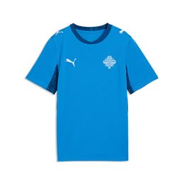 Trainingsshirt Puma "Island 2026 Heimtrikot Jugendliche", Jungen, Gr. 176, electro royal wei&szlig; blau, Obermaterial: 100% Polyester; Kragen: 100% Polyester; Einsatz: 100% Polyester, regular fit, Rundhals, Shirts