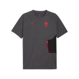 T-Shirt Puma "AC Milan PumaTECH T-Shirt mit Tasche Herren", Herren, Gr. L, shadow gray for all time rot, Obermaterial: 35% Baumwolle, 65% Polyester; Rippe: 30% Polyester, 70% Baumwolle; Aufgesetzte Tasche: 50% Elastomultiester, 50% Polyester, clean, regular fit, Rundhals, Shirts T-Shirt