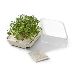 Tchibo - Microgreens-Anzuchtset - beige