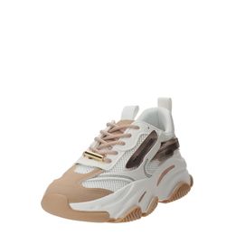 Steve Madden Sneakers 'Possession' female Beige size 40