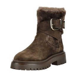 Stiefelette Steve Madden "Steve Madden Stiefelette Veloursleder", Damen, Gr. 37, braun, Veloursleder, Schuhe Stiefelette