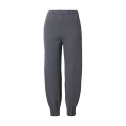 Mm By Max Mara Pants 'LVISTA' female Grey size XL