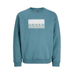 Jack & Jones Jack & Jones Junior Sweatshirt 'JCOFUSION' boy Blue size 164