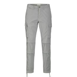 Jack & Jones Jack & Jones Cargo Pants 'JPSTAce JJTucker' male Grey size 34