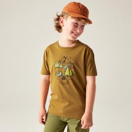 Dare2b Trailblazer III Kinder Baumwollshirt orange 140 - Kinder T-Shirts & -hemden von Dare 2b