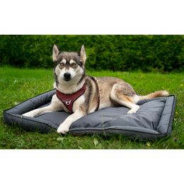 Berger PawCloud Hundebett 70x50 cm - Hundebetten