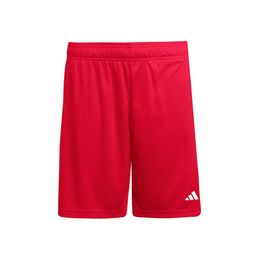 adidas Performance Workout Pants 'ENT26' male Red size XS