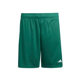 adidas Performance Workout Pants 'ENT26' male Green size XL