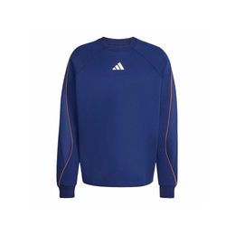 adidas Sportswear Athletic Sweatshirt 'STADIUM' male Blue size M