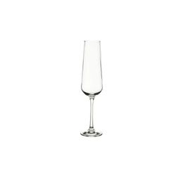 Peill & Putzler Peill+Putzler Sektglas Alura Optik transparent/klar Glas Ma&szlig;e (cm): H: 24,9 &raquo; M&ouml;bel Kraft