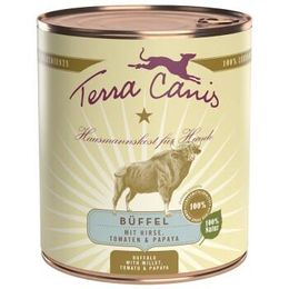 Terra Canis Classic Adult 6x800g B&uuml;ffel mit Hirse, Tomaten und Papaya