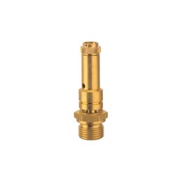 Riegler Sicherheitsventil DN 8, Messing, G 1/4, Ansprechdruck 15,5 bar (226.01-15,5)