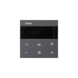 GIRA RTR Display anthrazit 539328)