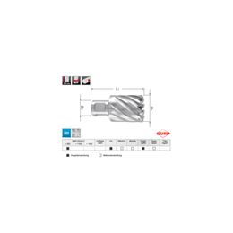 Ruko Kernbohrer-Modul HSS mit Weldonschaft (3/4"), Schnittiefe 30,0 mm in Quadro Pack (219911)